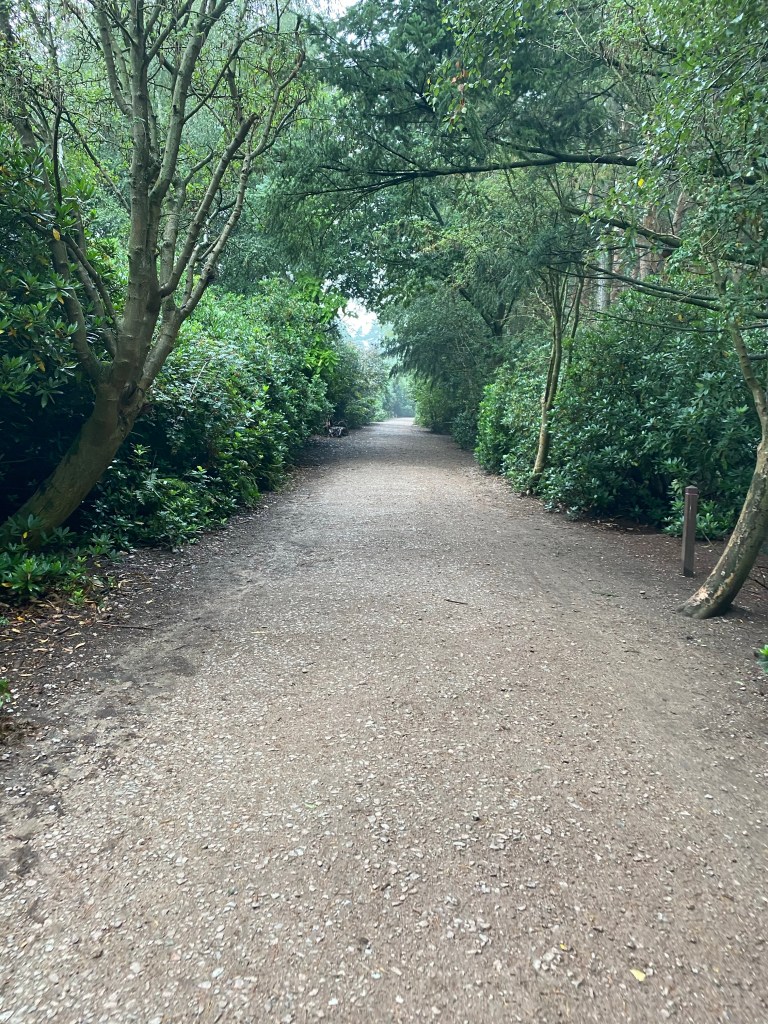 Rushmere Park – FIVE BEAN SOUP