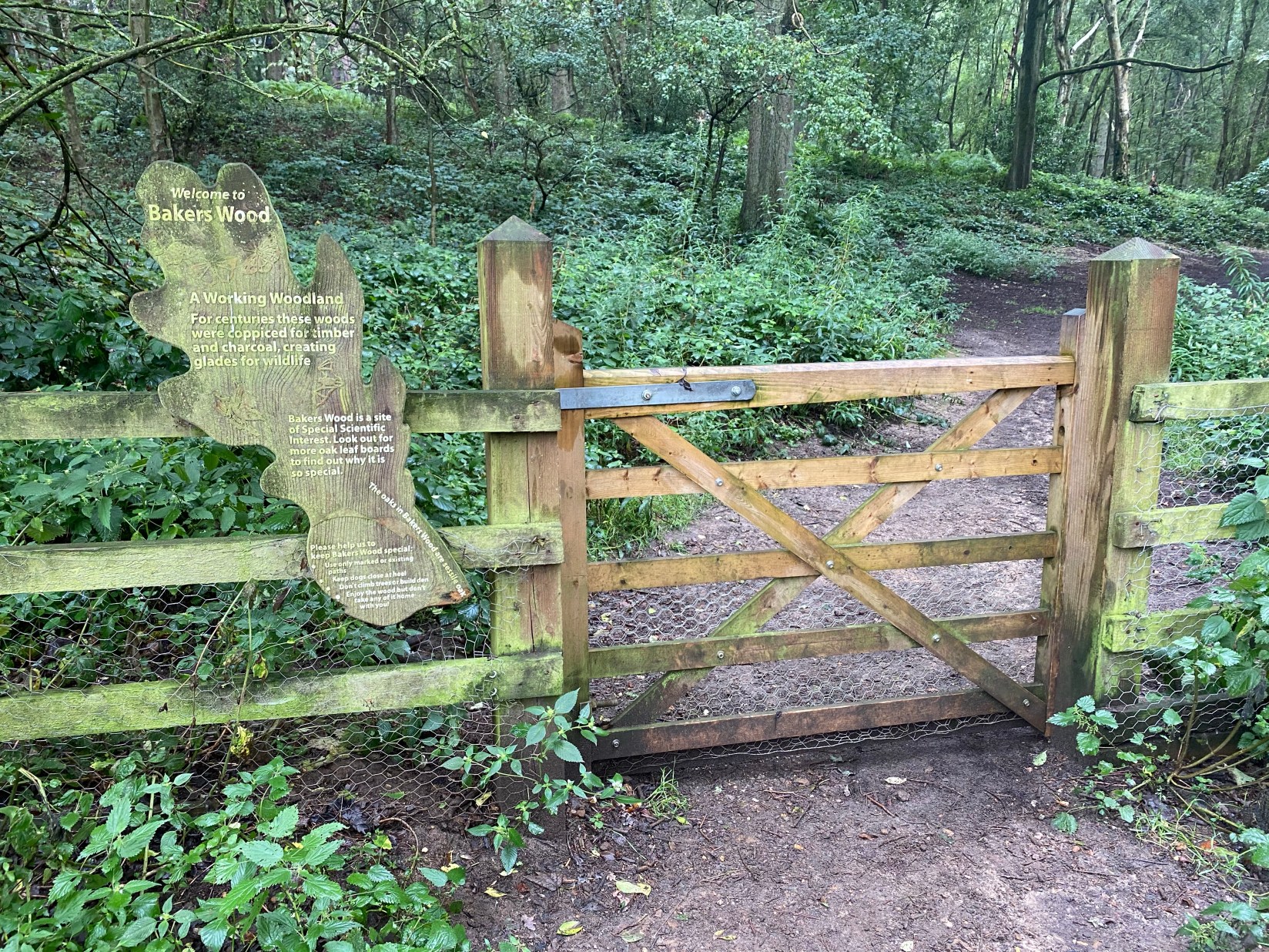 Rushmere Park – FIVE BEAN SOUP