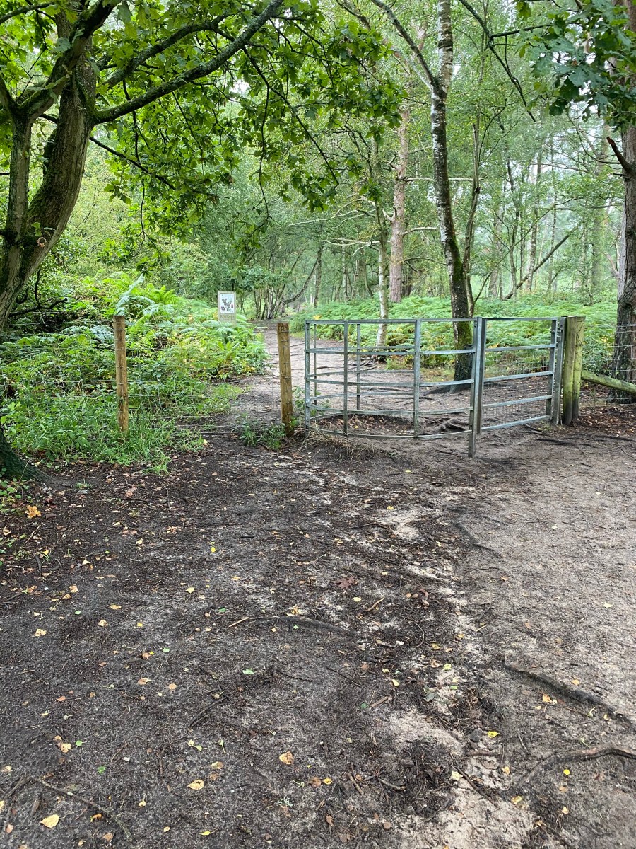 Rushmere Park – FIVE BEAN SOUP