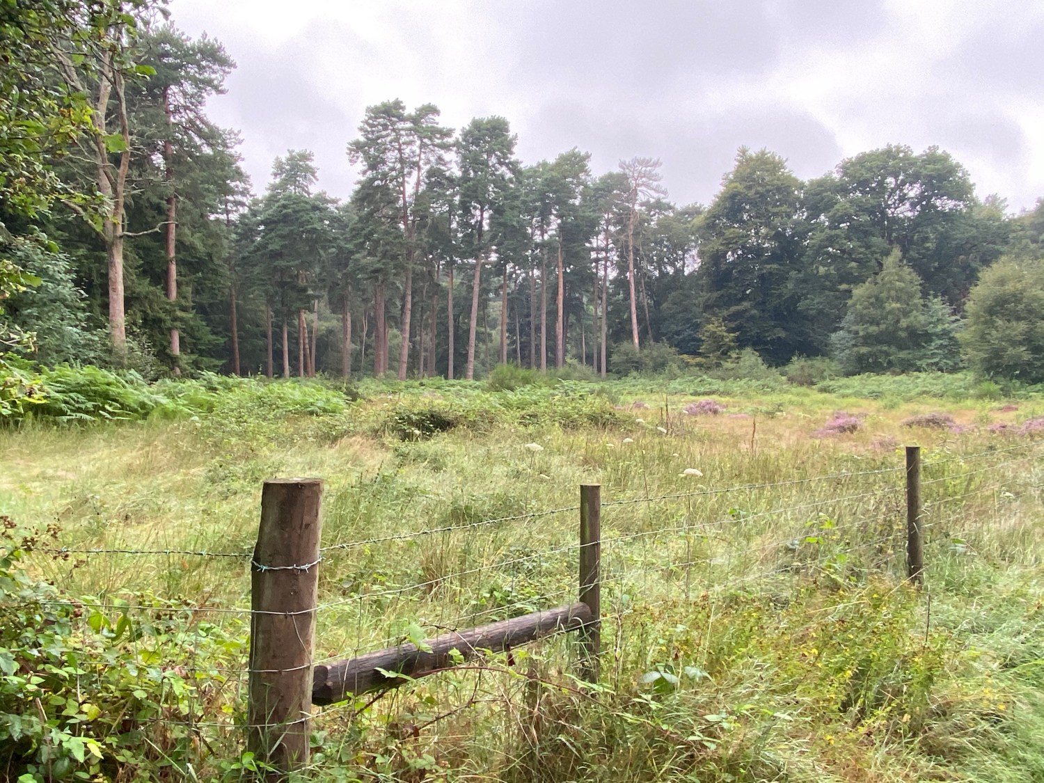 Rushmere Park – FIVE BEAN SOUP