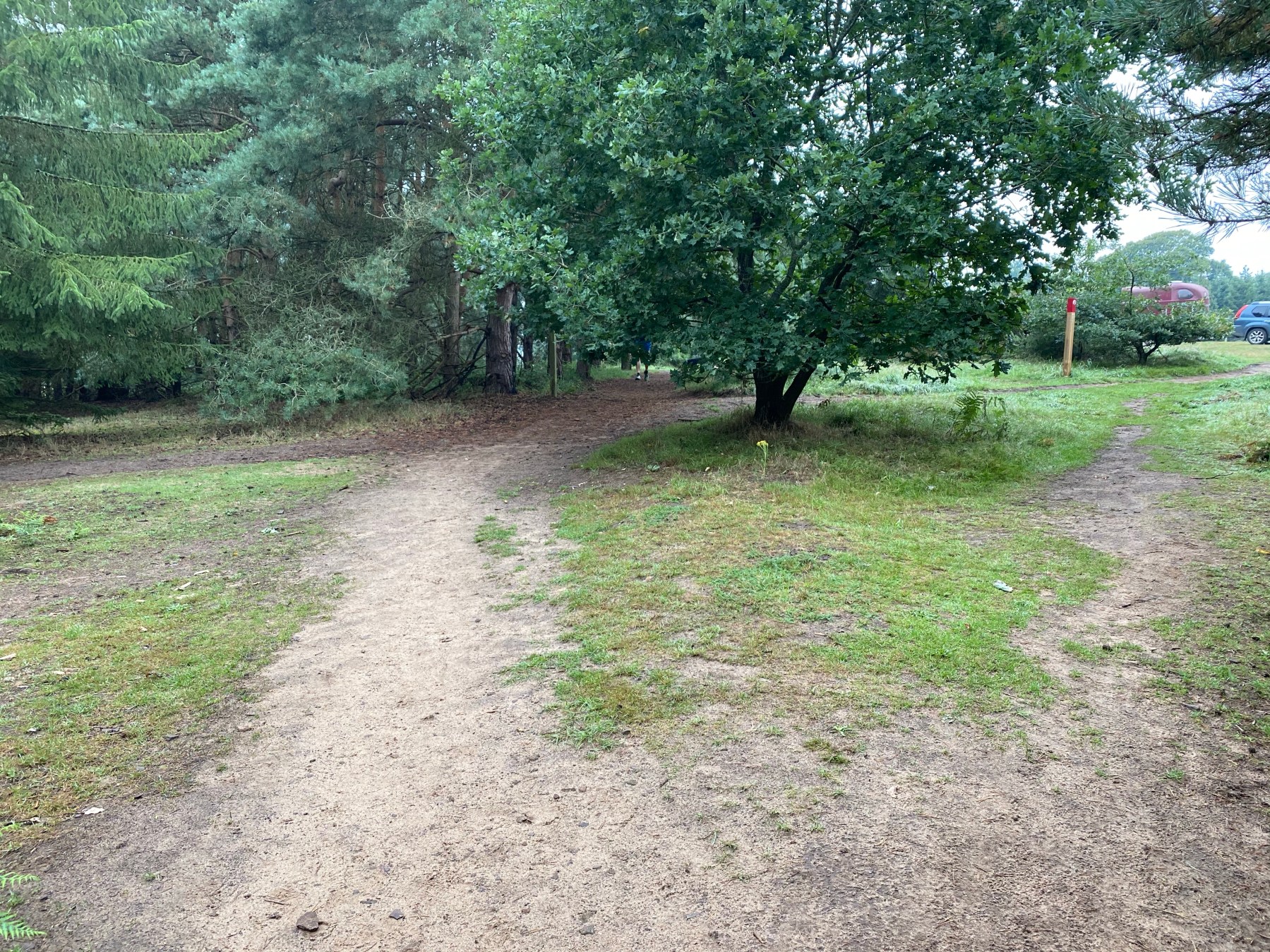 Rushmere Park – FIVE BEAN SOUP