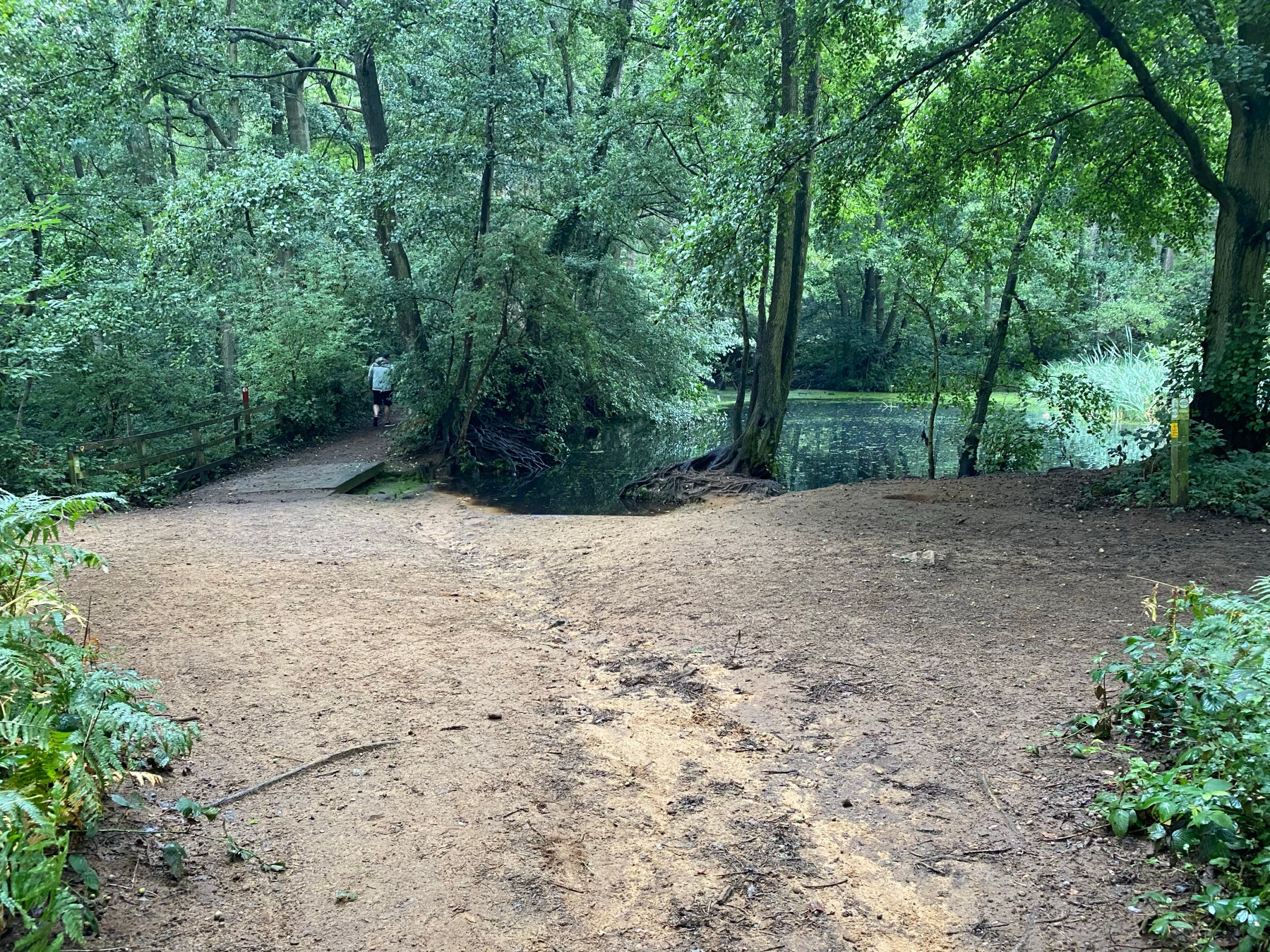 Rushmere Park – FIVE BEAN SOUP